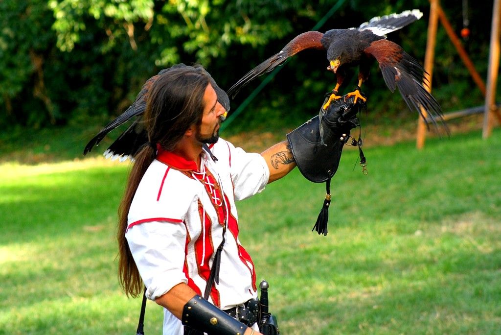 La falconeria alla Città della domenica a Perugia - umbriajournal.com