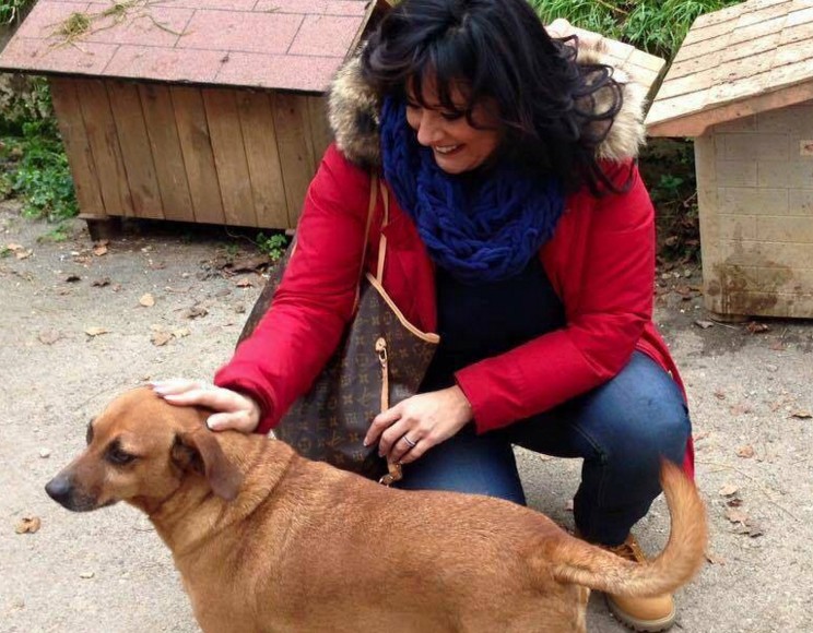 Canile di Collestrada, Emanuela Mori, ora si dia il via ai lavori ...