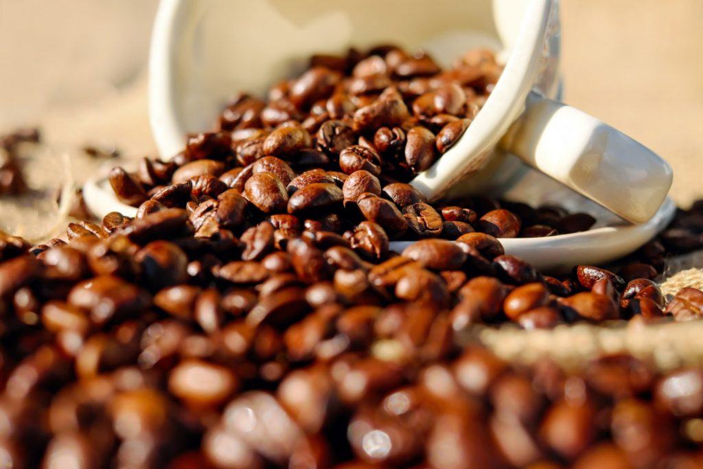 La filiera del caffè in biblioteca Villa Urbani a Perugia