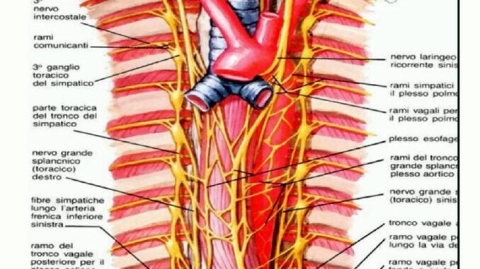 Tumori: cancro esofago, più del 50% diagnosi in fase avanzata