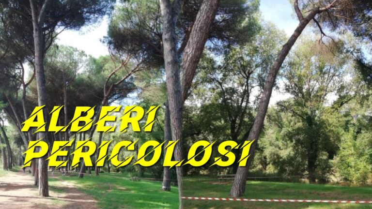 Pineta di Ponte Felcino chiusa, gli alberi sono diventati pericolosi