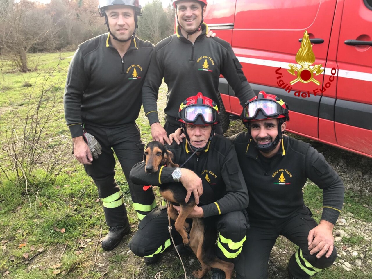 Vigili del fuoco recuperano cane, era su uno scoglio di parete